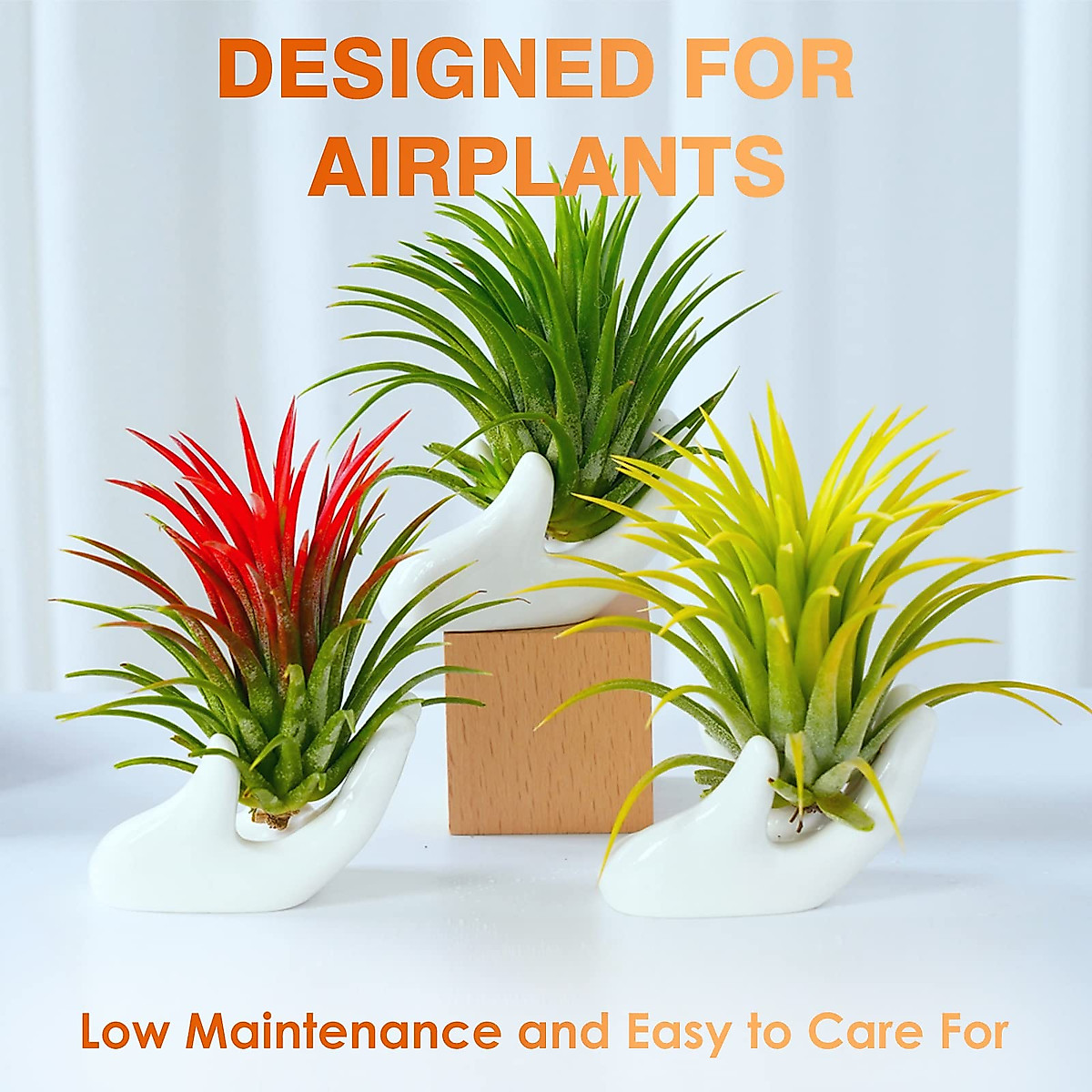 UAIAGM Hand-Shaped Air Plant Holder - Ceramic Mini Stand for Airplants - Decorative White Pot for Live Houseplants - Unique Desk, Table, Shelf Decor