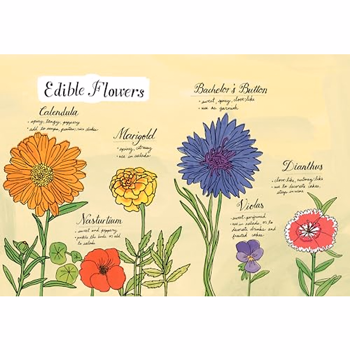 Farm Anatomy: The Curious Parts and Pieces of Country Life