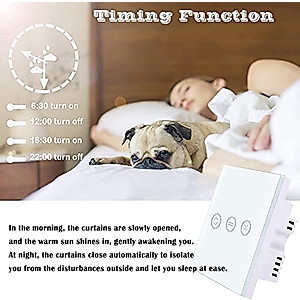 Smart Curtain Switch, 2.4Ghz WiFi Switch Works with Alexa and Google Home, App Remote Control and Voice Control, Device Sharing and Timer Function, ETL&FCC Certified, Neutral Wire Required, 2 Packs