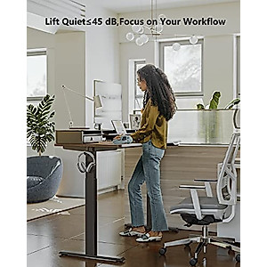 BANTI 55"x 26" Electric Standing Desk with Glass Top Monitor Stand, Adjustable Sit Stand Up Table with Double Drawer, Sit Stand Desk with Storage Shelf, Black Walnut Top