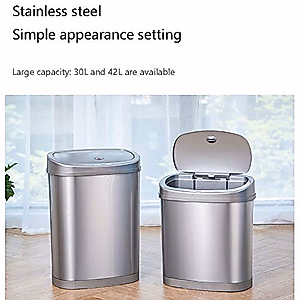 WENLII Double Classification Sensor Trash Can Smart Stainless Steel Can Auto Sealing Cover Garbage Classification Bins 30/42L (Size : 42L)