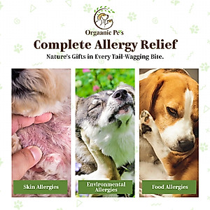 Herbal Dog Allergy Relief with SEA KELP - Colostrum - QUERCETIN - Mushrooms - Omega + 11 Natural Allergy Relief Herbs - Soft Chews for Skin & Seasonal Allergies