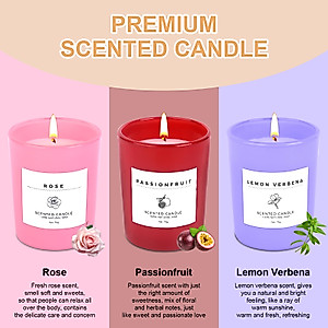 Furnizone Scented Candles 3 Pack, Mini Candle Set Natural Soy Wax Candles for Stress Relief, Relaxing Gifts for Women Girfriend Wife Mom Bridesmaid Birthday Valentines Mothers Day