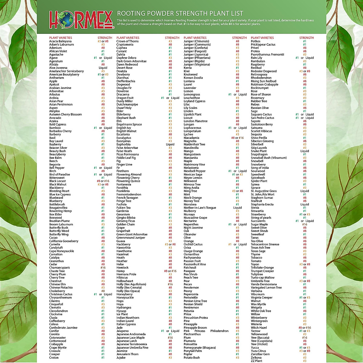 Hormex Rooting Powder #1 - for Moderately Difficult to Root Plants - 0.1 IBA Rooting Hormone for Plant Cuttings - Fast & Effective - Free of Alcohol, Dye, Gel & Preservatives for Healthier Roots, 21g