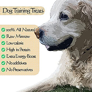 Amzey Minnows - 3.5 oz Freeze Dried - 100% Natural Premium Cat Treat, Dog Treat - Freeze Dried Minnows for Cats - Freeze Dried Minnows for Dogs - Bulk Package Minnows (1.6 "to 2.8" Length Each)