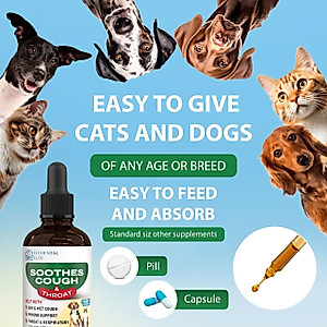 Kennel Cough Drops for Dogs & Cats - Allergy Relief - Cough Relief Dry and Wet Pet Cough - for Dogs of All Breeds & Sizes