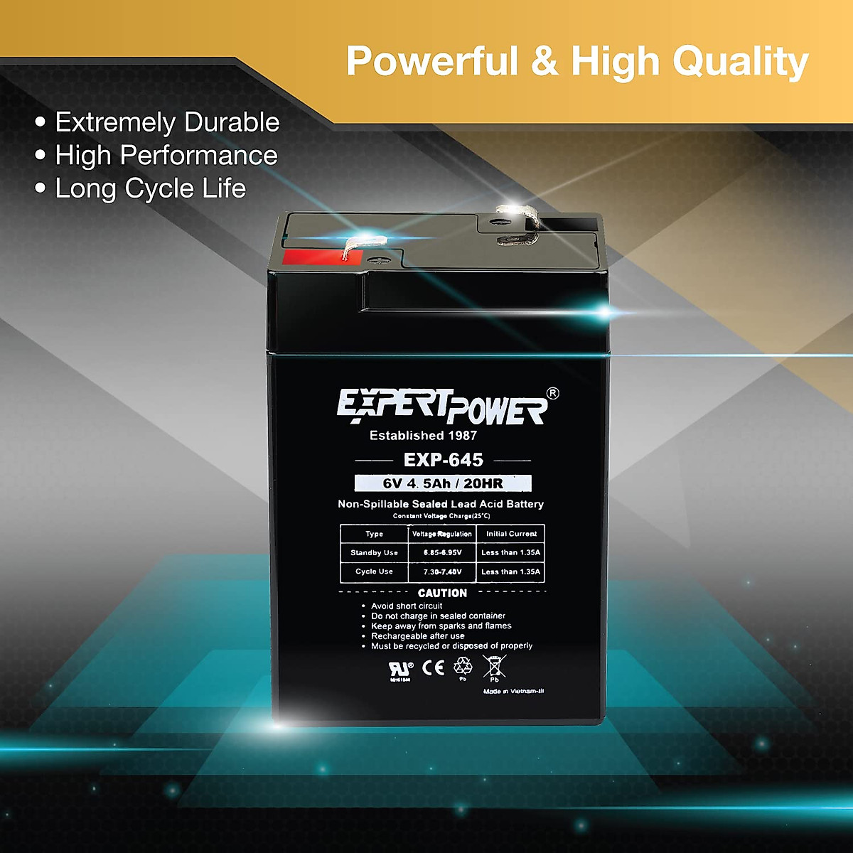 ExpertPower 6 Volt 4.5 Amp Rechargeable Battery (EXP645)