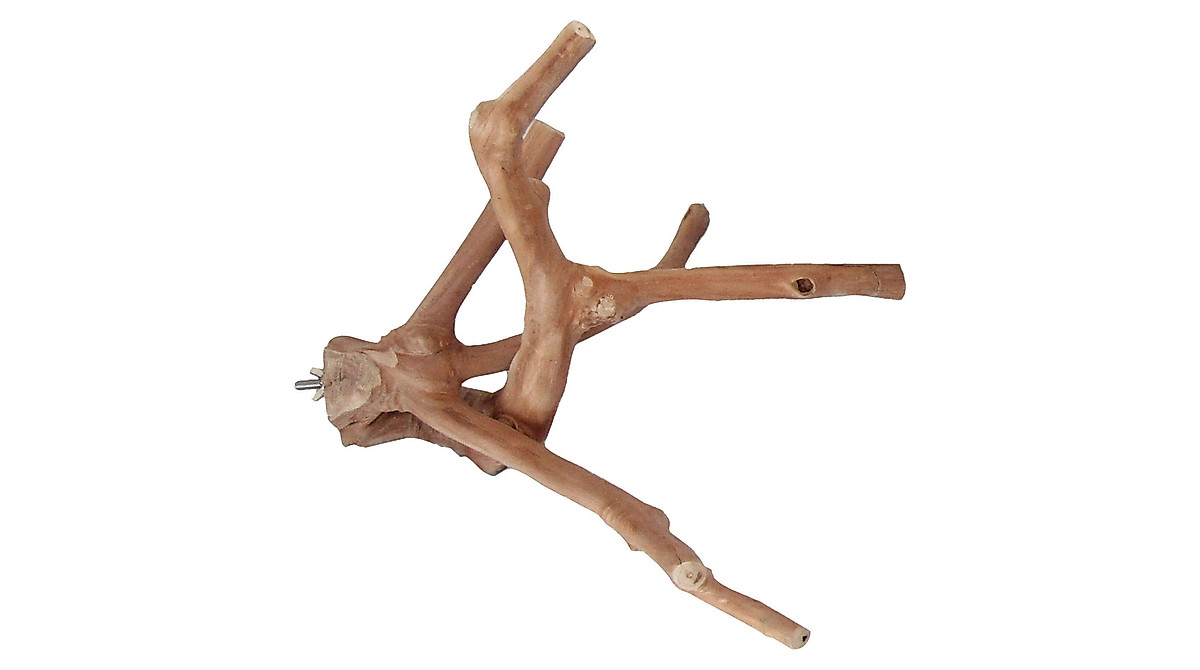 A&E Cage Co. Multi Branch Bird Perch - Natural Enrichment