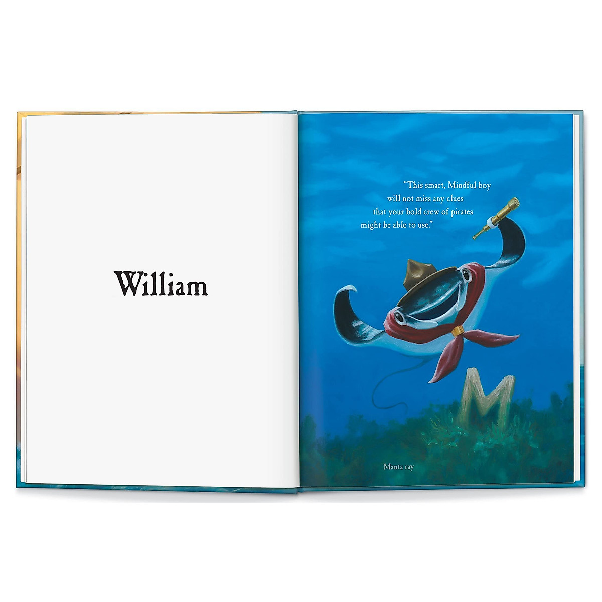 My Very Own Pirate Tale - Personalized Children's Story - I See Me! (Hardcover)