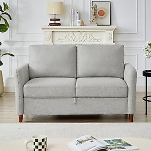 HOLYFIND Modern Loveseat Sofa Couch with Storage,Upholstered Small Couch,Mini Couch Furniture for Bedroom, Apartment, Office and Small Spaces(Light Gray, 56.5''-2seat)