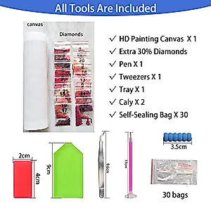 uohqhi 5D Diamond Art Cartoon, Cartoon Round Diamond Art Kits for Adults, Cartoon Diamond Painting for Festival Gift(12X16inch)