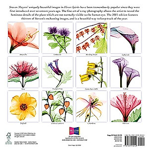 2021 Flower Spirits Radiographs of Nature by Steven N. Meyers 16-Month Wall Calendar