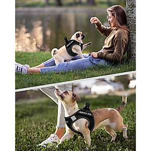 FAYOGOO Service Dog Vest for Small Breed - Lightweight Dog Harness with 6PCS Removable Patches - Puppy Harness and Leash Set for Walking,Training