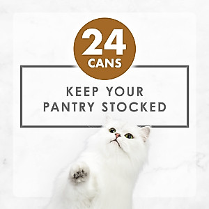 Purina Fancy Feast Gravy Lovers Ocean Whitefish and Tuna Feast Gourmet Cat Food in Wet Cat Food Gravy - (Pack of 24) 3 oz. Cans