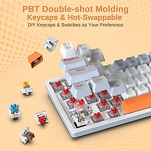 60% Keyboard Mechanical, Mini Wired Gaming Keyboard Compact 60 Percent Keyboard, RGB Backlit Hot-Swappable Red Switch Fully Programmable for Windows Laptop PC Mac,K642WGO White-Gray