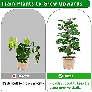 Moss Pole, 48 Inch Bendable Monstera Plant Support, Moss Poles for Climbing Plants Accessories Indoor, Coir Plant Pole Sticks Support Stakes for Potted Plants, Pothos, Philodendron, PlantPolex