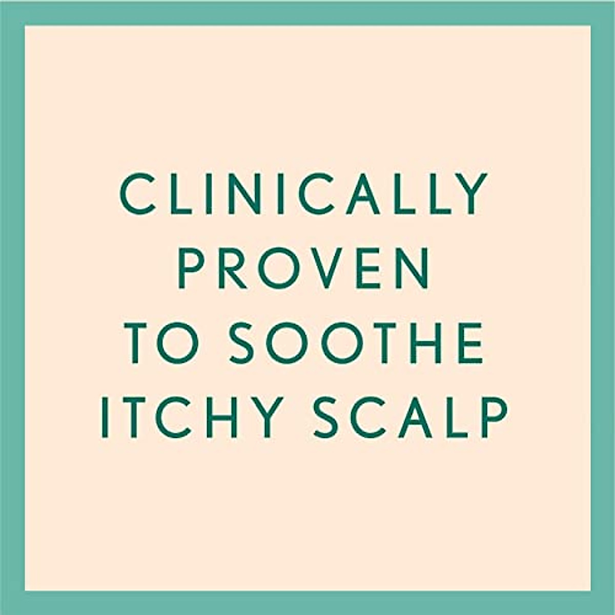 Aveeno Rose Water & Chamomile Blend Sulfate-Free Shampoo with Colloidal Oat for Dry & Sensitive Scalp, Gentle Cleansing Shampoo for Fine, Fragile Hair, Paraben & Dye-Free, 12 Fl Oz