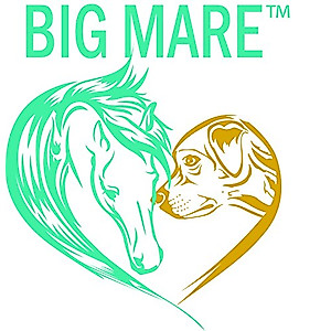 Big Mare | Horse Wound Lotion | Anti Bacterial/Anti Fungal | Healing, Soothing & Penetrating Formula | 8 oz Bottle