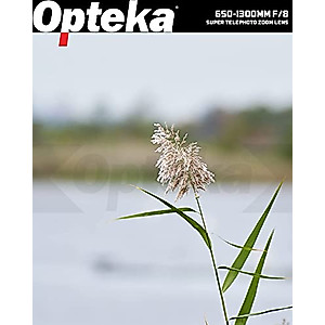 Opteka 650-1300mm (with 2X- 1300-2600mm) Telephoto Zoom Lens for Canon EF-Mount EOS 90D, 80D, 77D, 70D, 60D, 50D, 7D, 6D, 5D, 5DS, 1DS, T8, T8i, T7i, T7s, T7, T6s, T6i, T6, T5, SL3, SL2 DSLR Cameras