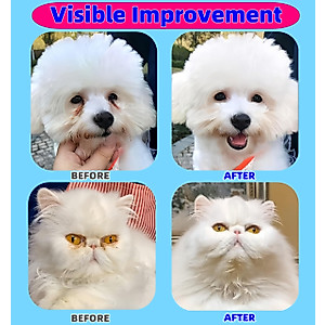 TrendyMate Pet Eye Wipes for Dogs & Cats - Gently Remove Tear Stain, Eye Debris, Discharge, Mucus Secretions - Aloe & Chamomile Pet Cleaning Grooming Deodorizing Wipes for Eyes, Wrinkle, 100Count