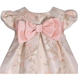 Bonnie Jean Girls 3M-4T Bow Front Pleated Trapeze Special Occasion Dress (Pink Lotus, 3-6M)
