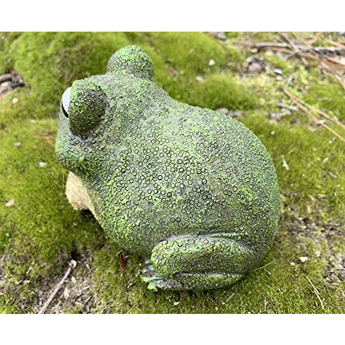 Top Brass Chunky Frog Key Hider Figurine - Cute Toad Garden Statue with Secret Compartment - Indoor / Outdoor