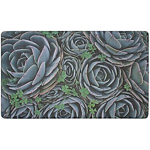 Chef Gear Floral Novelty Wellness Anti-Fatigue Kitchen Mat, Cooking & Standing Relief, Memory Foam & Skid-Resistant, 18" x 30", Clover Succulents