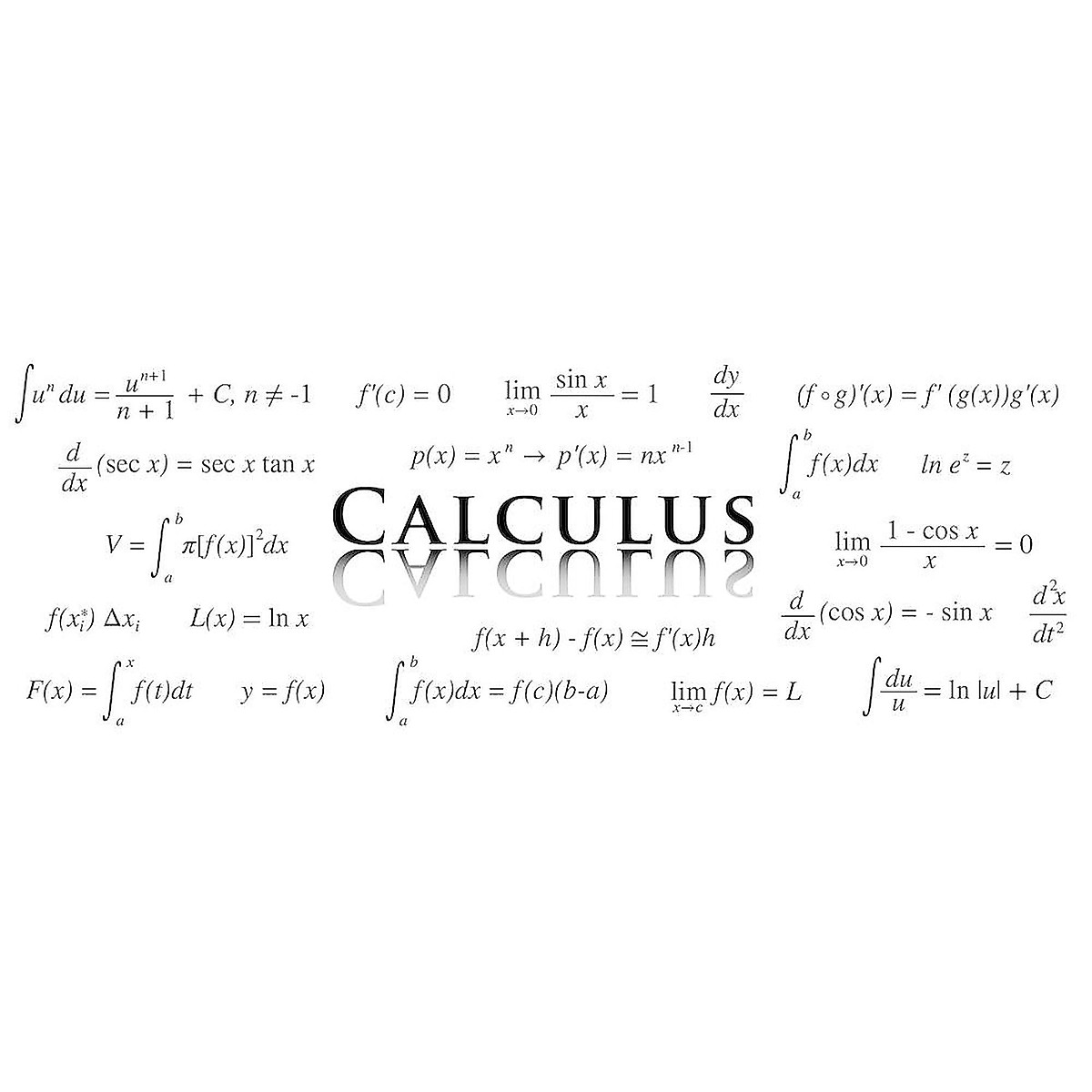 CafePress Calculus Equations Mugs Ceramic Coffee Mug, Tea Cup 11 oz