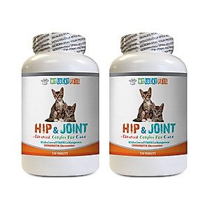 best hip and joint supplement for cats - CAT HIP AND JOINT COMPLEX - INCREASE MOBILITY AND REDUCE JOINT STIFFNESS - IMMUNE SUPPORT - VET APPROVED - msm supplement for cats - 2 Bottles (240 Tabs)