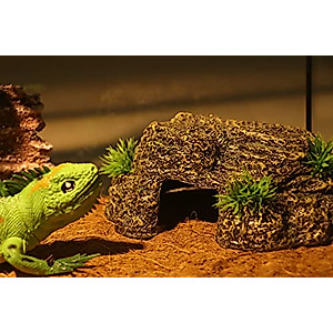 AQUA KT Reptile Cave Hide Natural Hiding Place for Terrarium Amphibian Lizard Snake Bearded Dragon Frog Leopard Terrestrial Gecko Cave