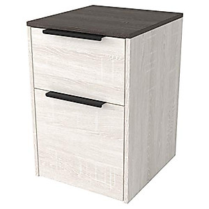Signature Design by Ashley Dorrinson Modern Farmhouse Filing Cabinet with 2 Drawers, Whitewash & Brown