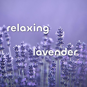 Seaweed Bath Co. Hydrate Body Wash, Lavender Scent, 12 Ounce, Shower Gel for Men & Women, Vegan, Paraben Free, Sulfate Free, Cruelty Free