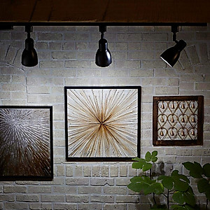 EcoSmart 75-Watt Equivalent R20 Dimmable LED Light Bulb Daylight (3-Pack)