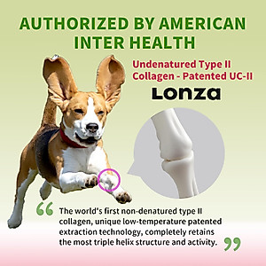 Love Can Fly Dog and Cat Joint Protection and Bone Health - Patented UC-II & Seaweed Calcium/Natural Anti-Inflammatory/Maintain Strong Bone Structure/Enhanced Nutrition - 120 Capsules