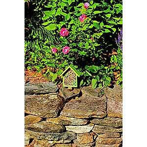 Rose Pink and Green Mason Bee House for The Garden Bundle - Lifetime Replacement Guarantee