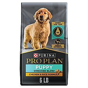 Purina Pro Plan High Protein Puppy Food Shredded Blend Chicken & Rice Formula - 6 lb. Bag