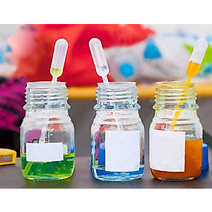 200 Pack 5ML Plastic Transfer Pipettes Disposable Graduated Pipettes Eye Dropper for Essential Oils,Crafts