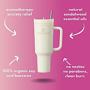 Standle Stanley Cup Candle Gift - Air Wax - Stocking Stuffers for Teenage Girls - Quirky Gifts for Teen Girls - Cereal Candles - White Elephant Gifts for Women - Cute Candles - Secret Santa Gifts