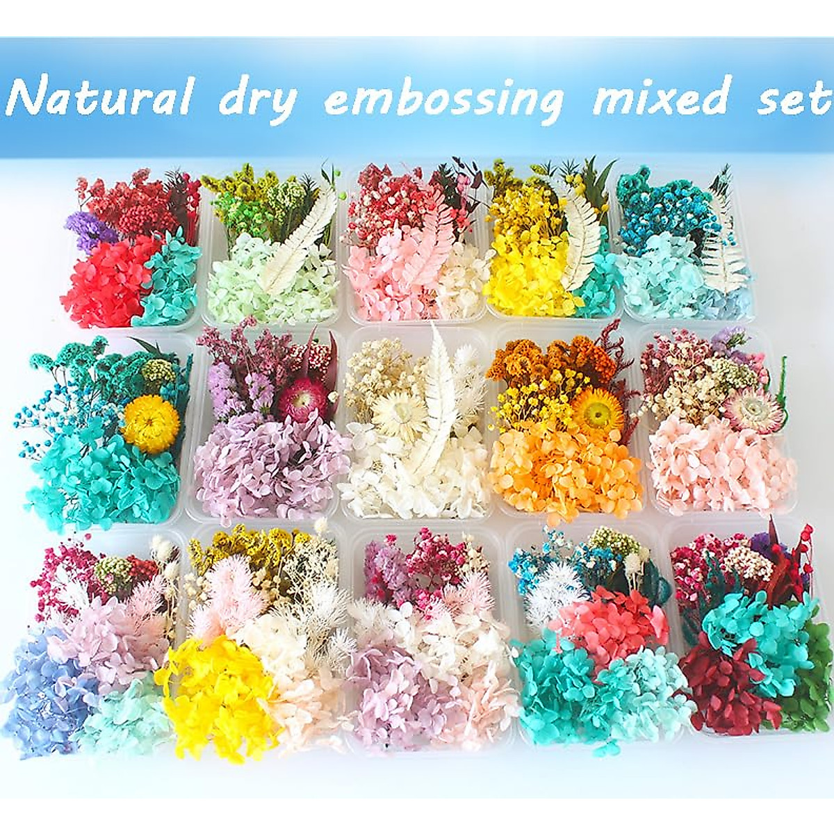 Dried Pressed Flowers Mixed Box for Resin Random, with 1 Tweezers, Real Natural Dry Mixed Flowers Leaves Bulk Herbs Kit for Scrapbooking DIY Art Crafts, Nail, Candle, Soap Making