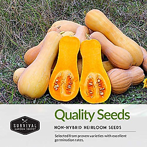 Survival Garden Seeds Three Sisters Collection Seed Vault - Non-GMO Heirloom Seeds for Planting Vegetables - Sweetcorn, Butternut Winter Squash & Pole Beans for Growing on Your Homestead