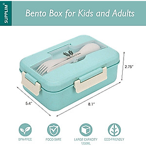 Supplim Bento Box For Kids Adults Lunch Box With 3 Compartment,Wheat Fiber Leak Proof Food Container With Spoon & Fork,1200ML Lunch Boxes Containers For Men Women (Model2-Green)