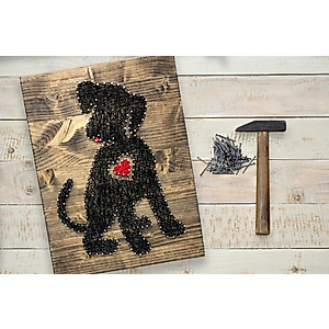 String of the Art (16" x 12" Puppy String Art Kit, American Made Crafting Supplies, Pine Wood, Embroidery Floss, Original Art, DIY Craft Kit for Adults, Beginner to Advanced Crafters