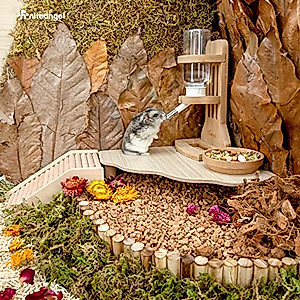 Niteangel Hamster Play Wooden Platform for Dwarf Syrian Hamsters Gerbils Mice Degus or Other Small Pets (Triangle - 5.9'' Height, Burlywood)