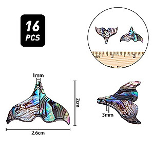 BENECREAT 16PCS Natural Abalone Shell Fishtail Abalone Shell Beads with Storage Containers for DIY Jewelry Making