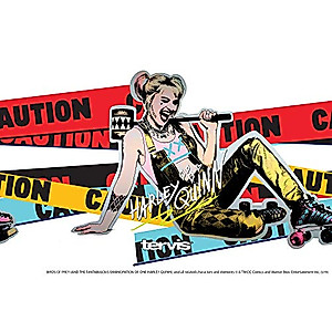 Tervis Warner Brothers - Birds of Prey Harley Quinn Stainless Steel Insulated Tumbler with Clear and Black Hammer Lid, 20oz, Silver