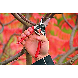 Felco Pruning Shears (F 6) - High Performance Swiss Made One-Hand Garden Pruners - 100052385