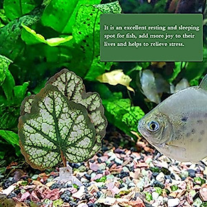 iplusmile Betta Fish Leaf Hammock- 2Pcs Aquarium Betta Fish Leaf Pad Fish Tank Resting Leaf with Suction Cups Hammock Breeding Bed for Beta Tank Decorations Green