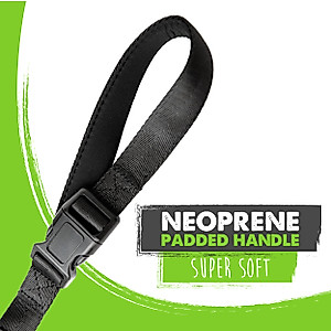 Mighty Paw Long Dog Leash | Pet Lead for Off-Leash Recall Training. Premium Quality Nylon Tie Out , Includes a Buckled Padded Handle. Great for Yard, Camping and Training. (15 Feet, Black)