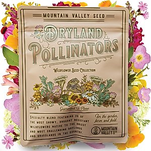Wildflower Seeds Bulk, 2 Oz. 80,000+ Seeds, Drought-Tolerant Wildflower Mix, 20 Varieties of Drought-Tolerant Wildflower Seeds, Drought-Resistant Wildflower Seeds, Dryland Pollinators Flowers Seeds