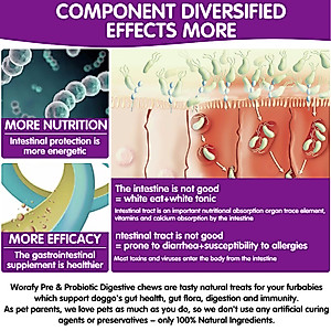 Probiotics for Dogs,Dog Probiotics Digestive Health,Dog Probiotic Chews with Digestive Enzymes for Gut Flora Gut Health,Dog Probiotics for Small,Medium,Large Dogs,120 Count,Peking Duck Flavor